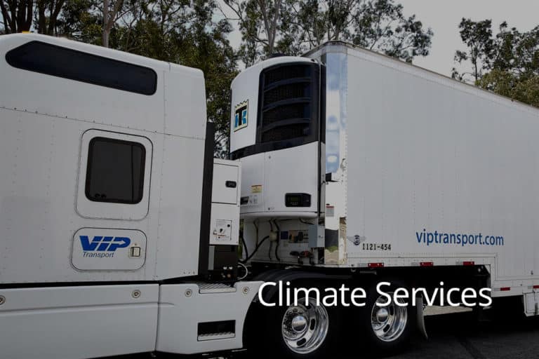 VIP Transport VIP Transport, Inc.